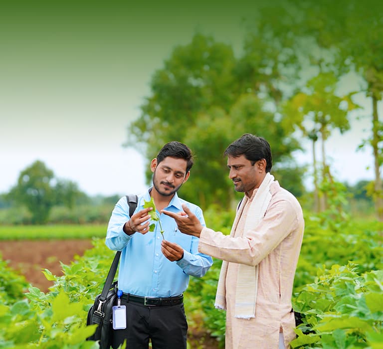 AGRICULTURAL DEVELOPMENT PROJECTS